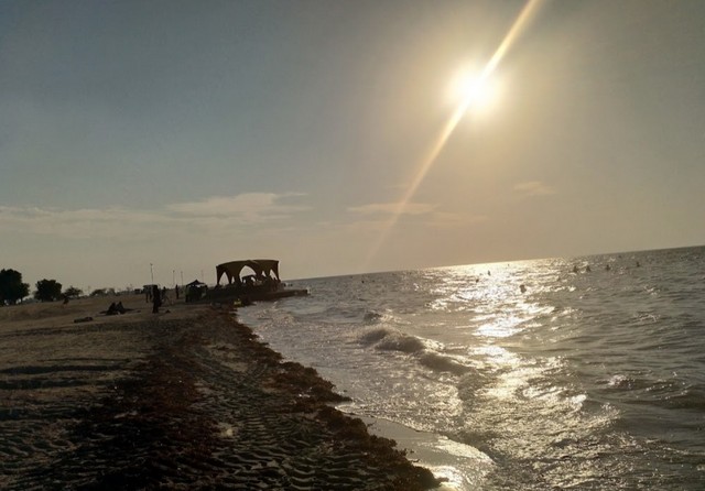 Top 4 Things in Al Jazair Public Beach Bahrain