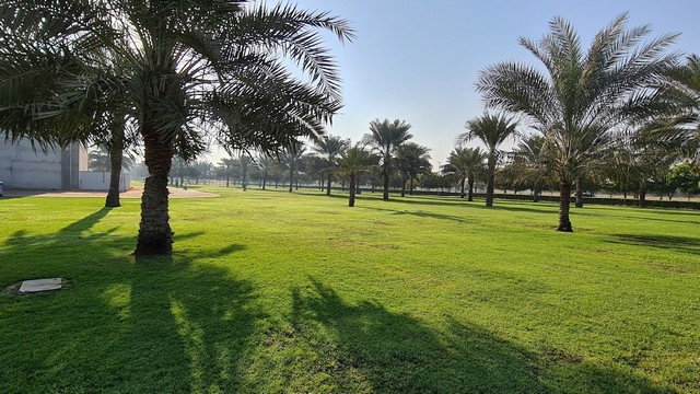 Best 4 Things to Do at Al Safia Park Ajman