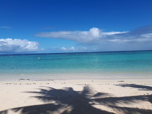 Top 3 things in Trou aux Biches Beach Mauritius