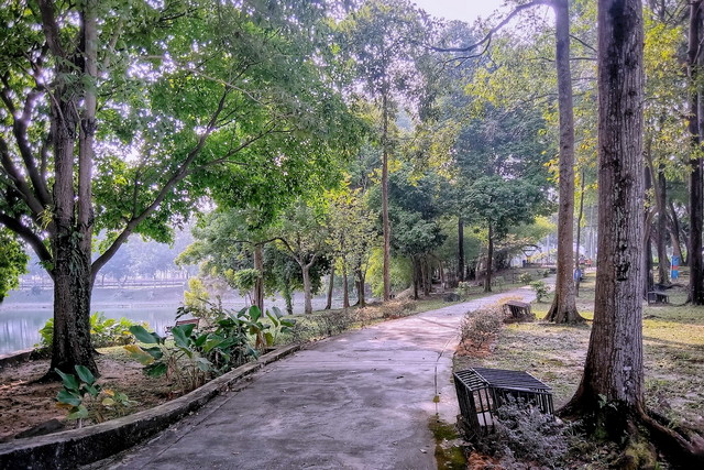 Top 3 Things at Taman Bandaran Kelana Jaya Selangor Park