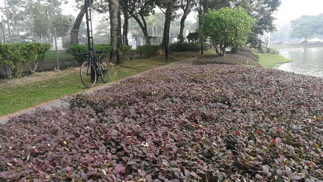 Top 3 Things at Taman Bandaran Kelana Jaya Selangor Park