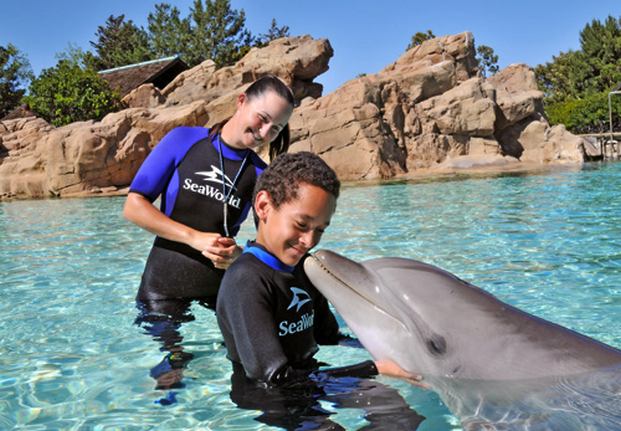 The 4 Most Fun Things to Do in San Diego