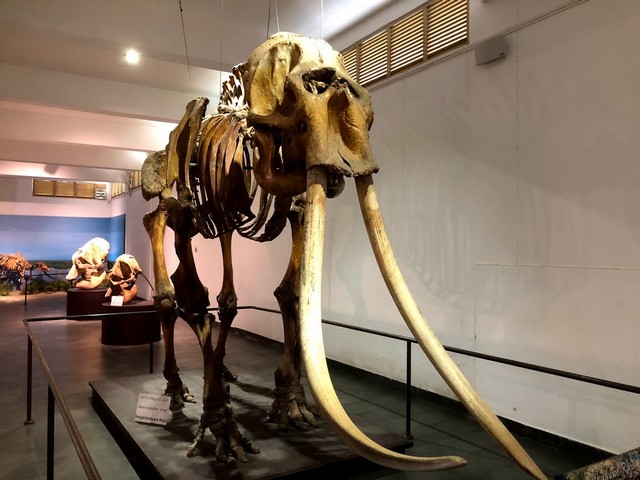 Best 12 Things to Do in Colombo National Museum