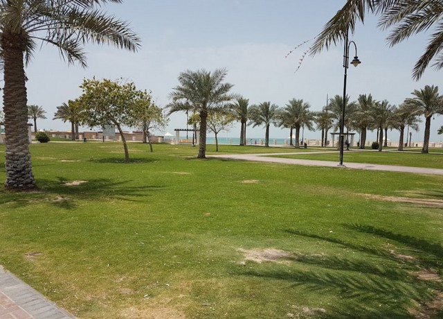 Top 5 Things to Do at Budaiya Beach Park Bahrain