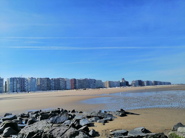 Top 3 Things to Do in Duinbergen Beach Brugge