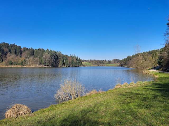 The best 4 lakes in Ljubljana Slovenia You Should Visit