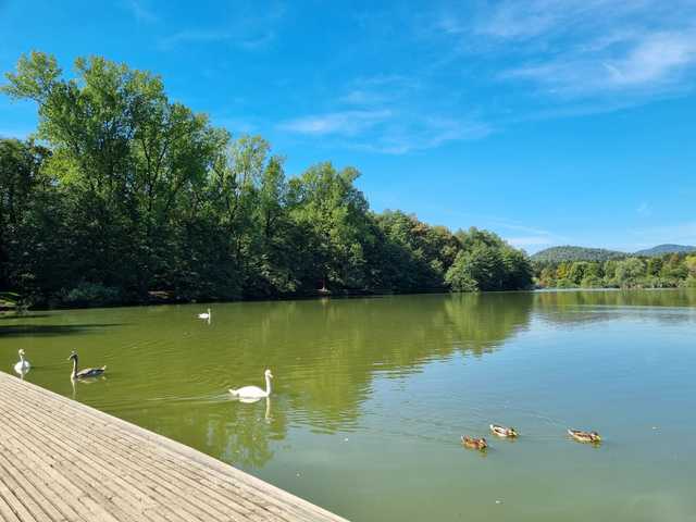 The best 4 lakes in Ljubljana Slovenia You Should Visit