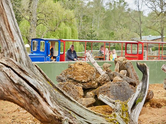 Top 7 Things to Do at Beale Park Reading