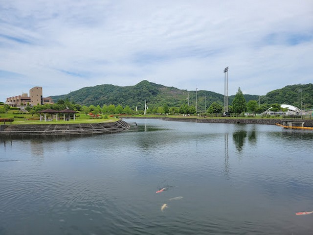 Top 3 Things to Do at Chikuho Ryokuchi Park Fukuoka