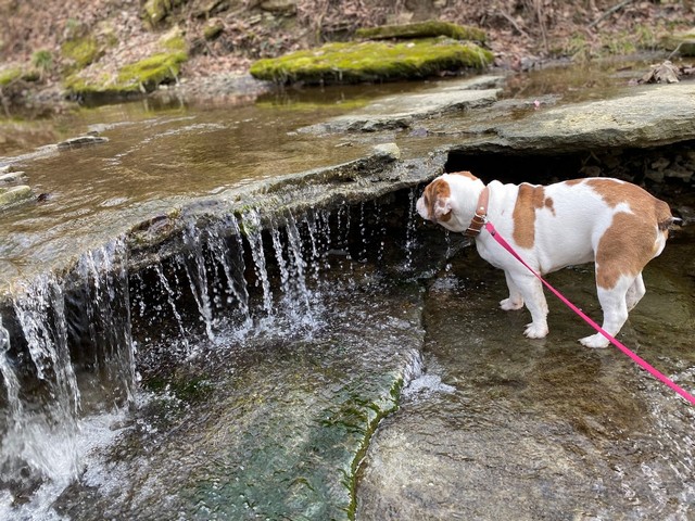 Top 4 Activities to Do at French Park Cincinnati