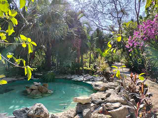 Best 5 Things to Do at Kantun Chi Forest Playa del Carmen